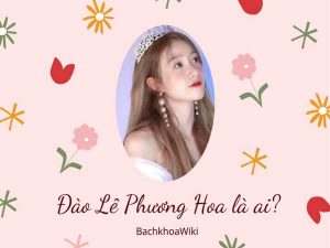 Đào Lê Phương Hoa - Nữ TikToker nổi tiếng trong giới trẻ